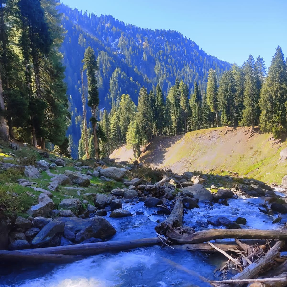 Kashmir Budget Packages - Afroventures